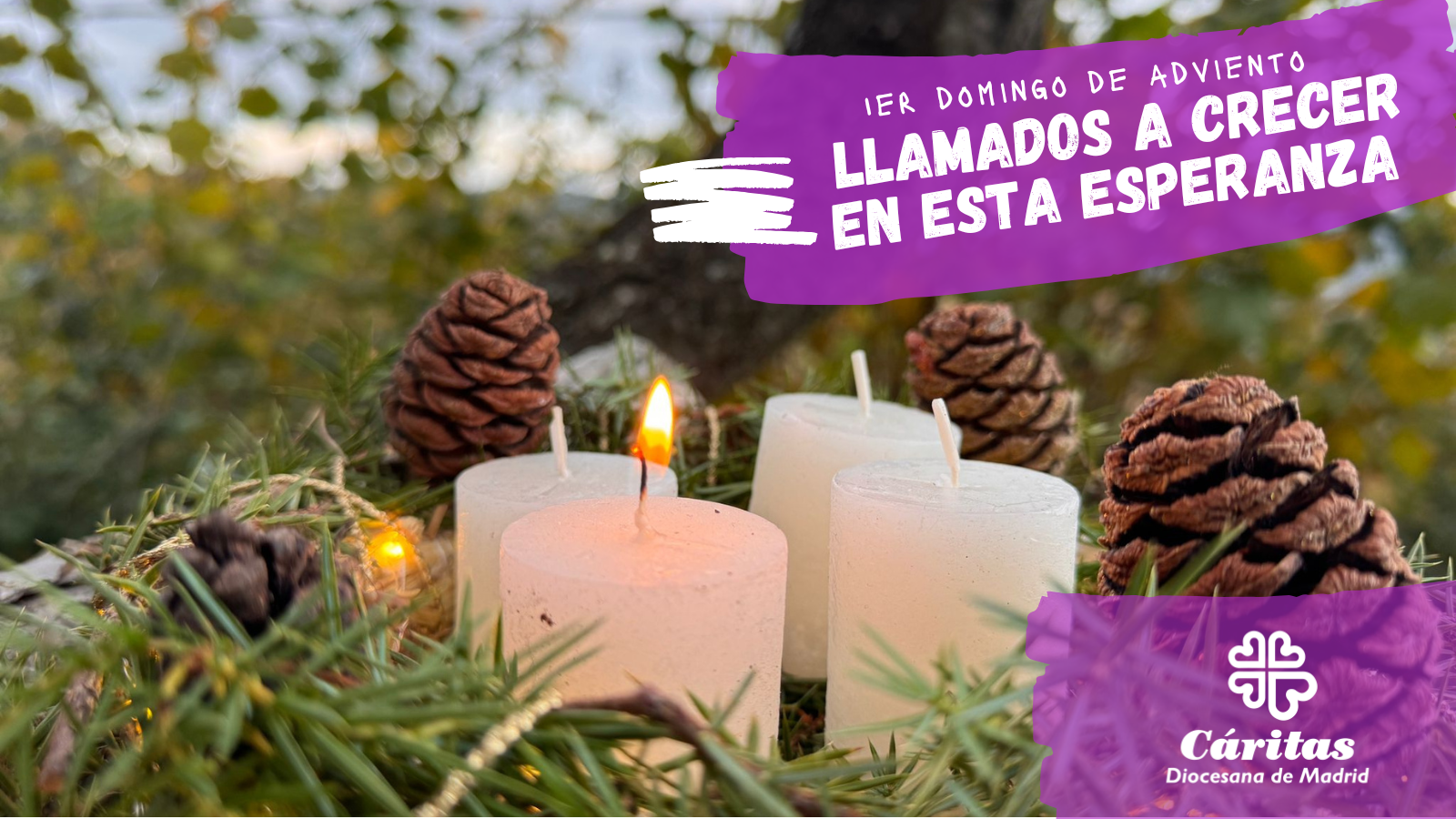 Iniciamos el camino de la esperanza. Primer domingo de Adviento ...